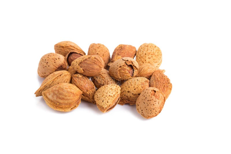 Almond Nut in Shell and Shelled Isolated on White Background Stock ...