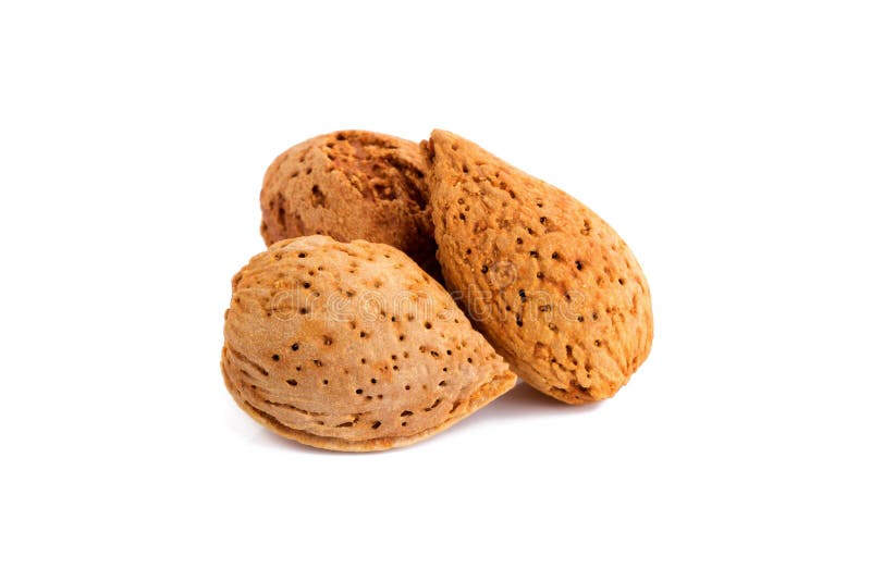 Almond Nut in Shell and Shelled Isolated on White Background Stock ...
