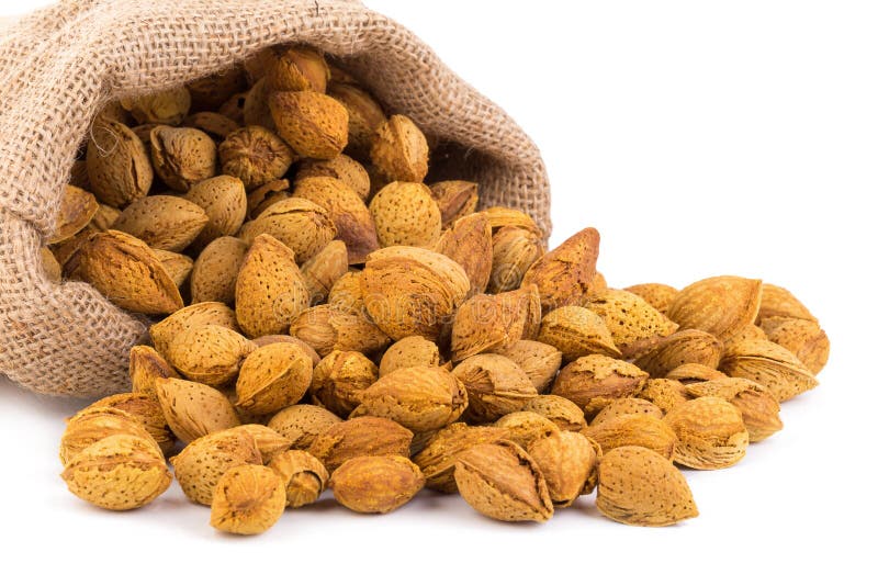 Almond Nut in Shell and Shelled on White Background Stock Image - Image ...