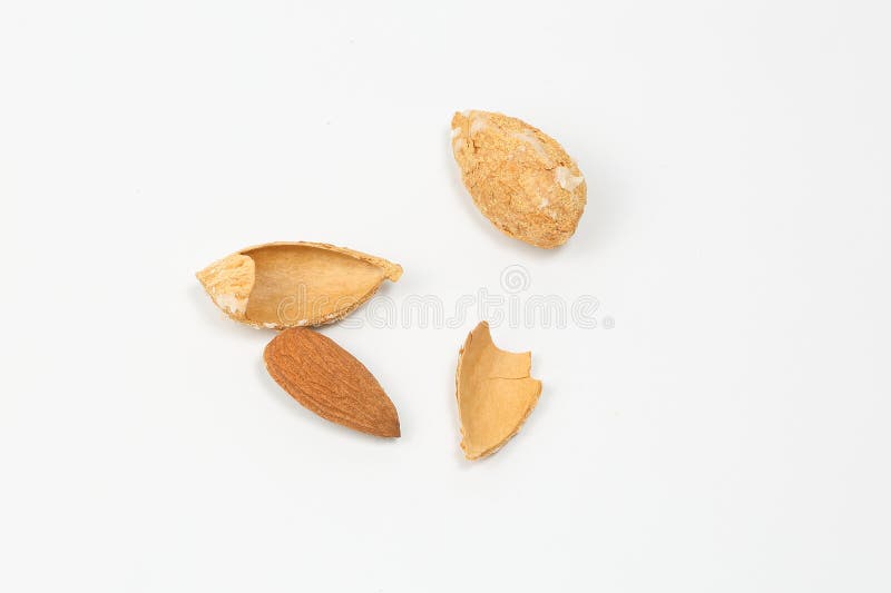 Almond nut in shell stock photo. Image of organic, healthy - 77114478