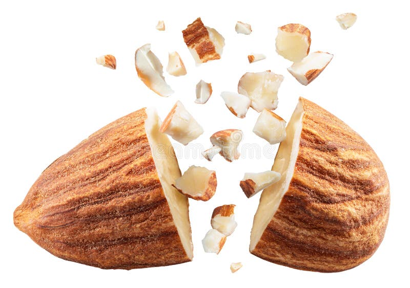 Almond Nut Split in Half, and Pieces of Almond Nut Fly Out from Crack ...