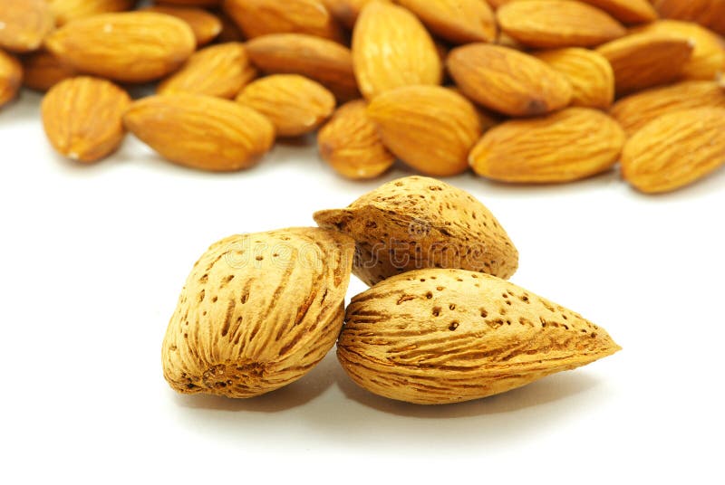 Almond nuts stock photo. Image of nature, core, group - 10649568