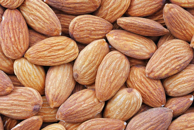 Almond Nuts stock image. Image of close, healthy, shot - 11545145