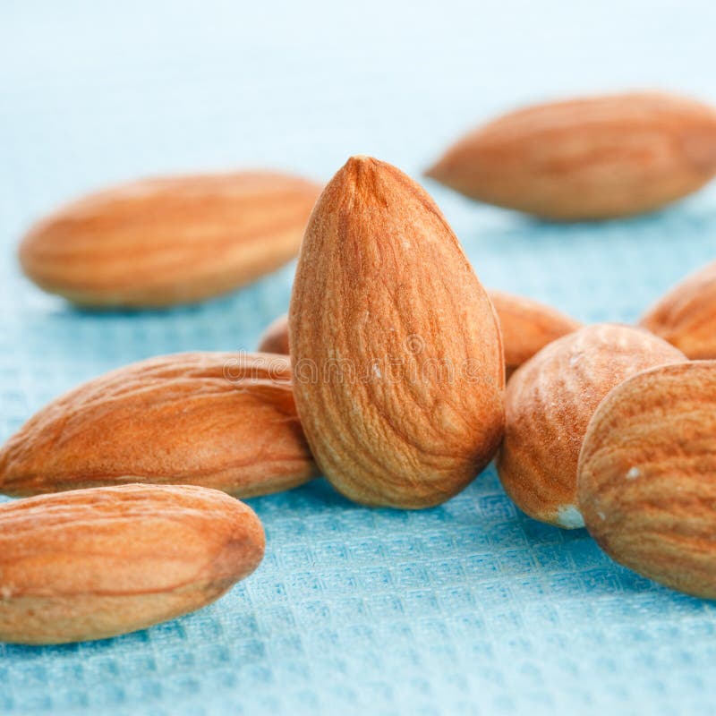 Almond nuts stock image. Image of plant, almond, ingredient - 13361691
