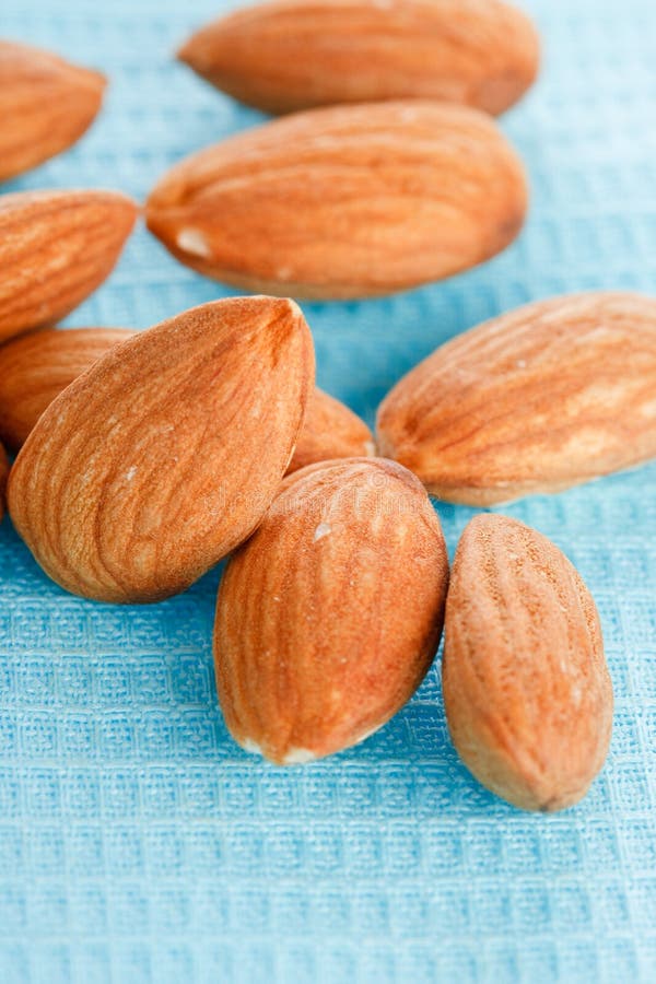 Almond nuts stock image. Image of almond, plant, nutty - 13361705