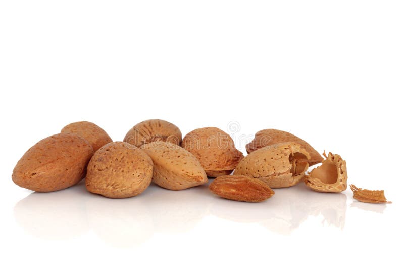 Almond Nuts stock photo. Image of shelled, healthy, drupe - 15169836