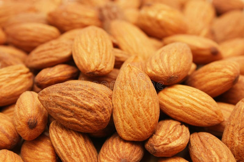 Two Almond Nuts stock photo. Image of communis, health - 5115616