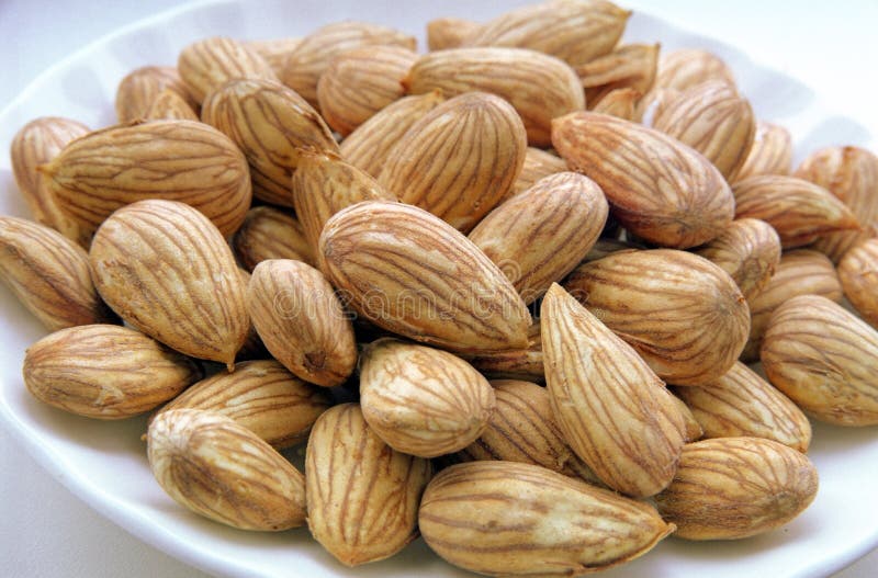 Almond nuts stock photo. Image of close, seed, healthy - 6205902