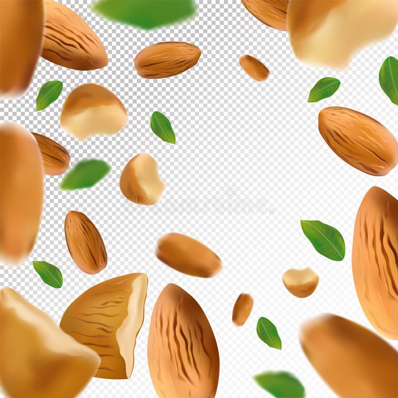 Flying Almond Isolated on White Background Logo Design. Organic Fresh ...