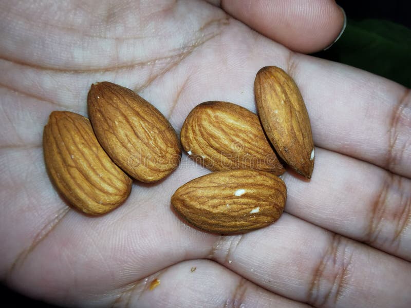 Handful of Almond Nuts stock photo. Image of crop, snack - 222361626
