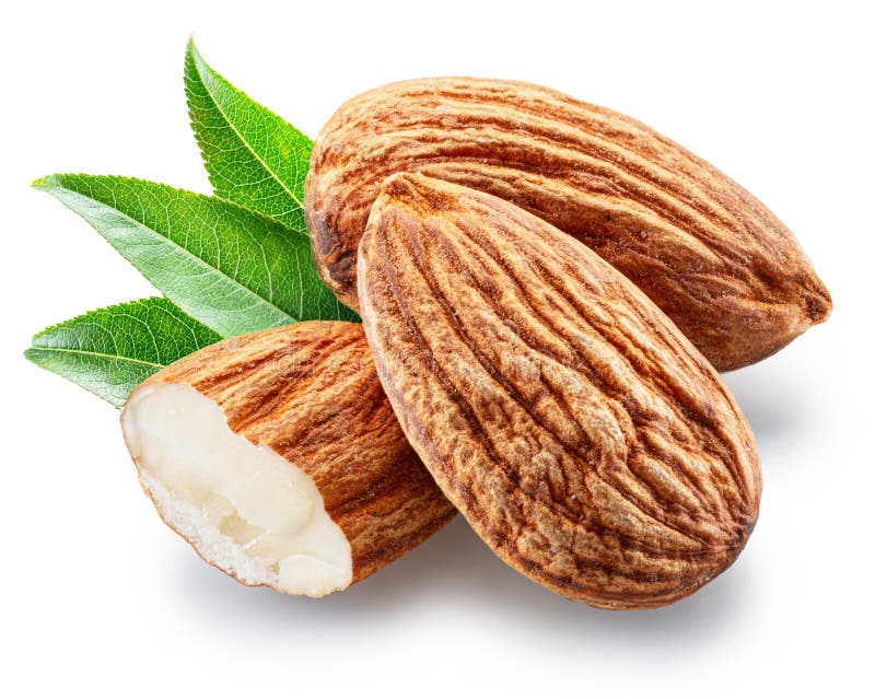 Almond Nuts and Almond Leaves Isolated on White Background. File ...