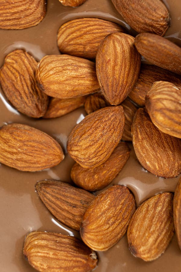 Almond Nuts in Melted Milk Chocolate Macro Stock Photo - Image of ...