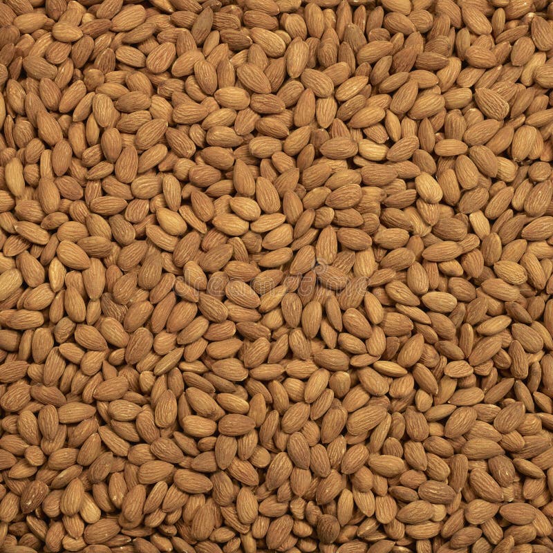 Almond Nuts stock image. Image of heap, nuts, food, organic - 52368465