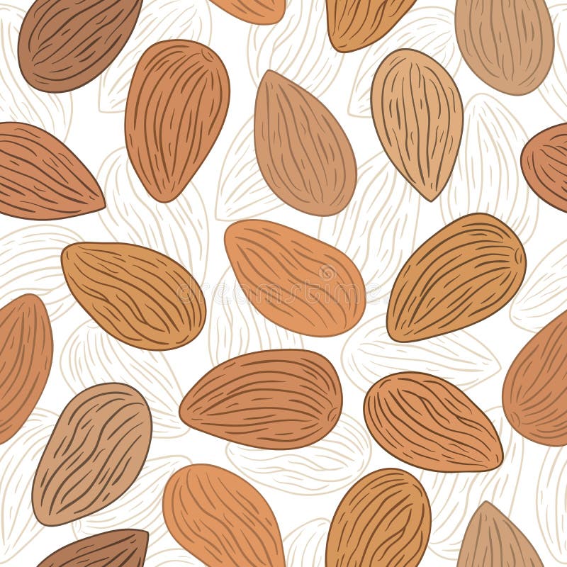 Almond Nuts Seamless Pattern Stock Vector - Illustration of endless ...