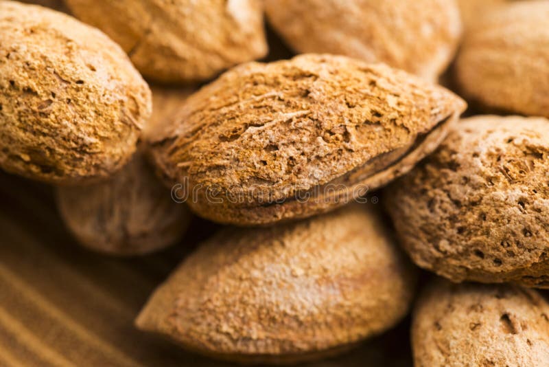 Almond nuts in shell stock image. Image of seed, hard - 84148233