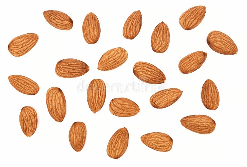 Almond Nuts Variation Front View Isolated on White Background. Top View ...