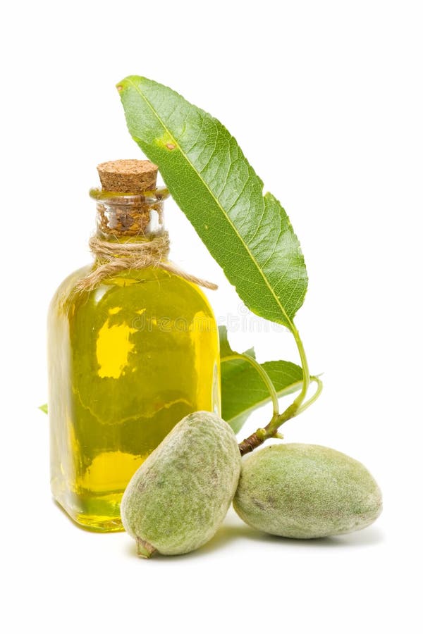 Almond oil stock photo. Image of dressing, diet, lifestyle - 15569872