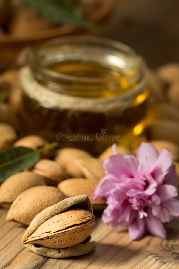 Almond oil and almonds stock photo. Image of cooking - 78748408