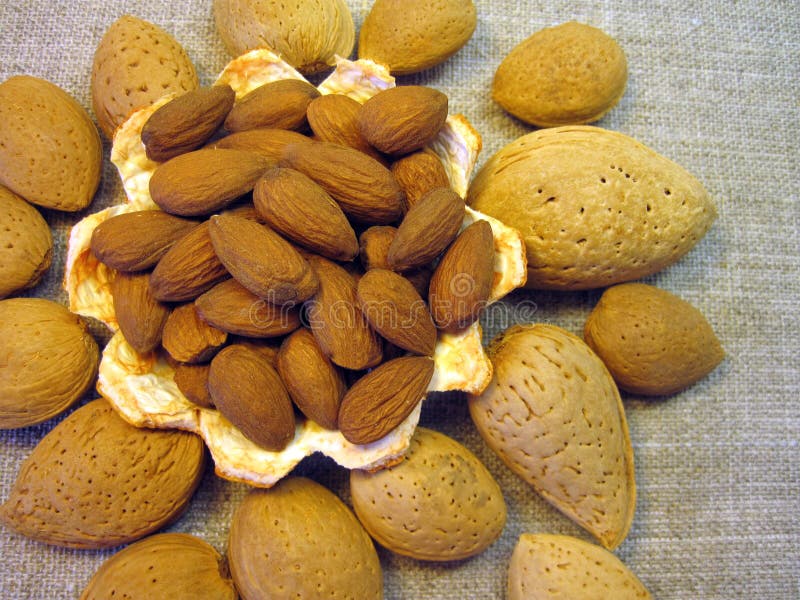 Almond stock image. Image of pattern, nutrition, orange - 35872301