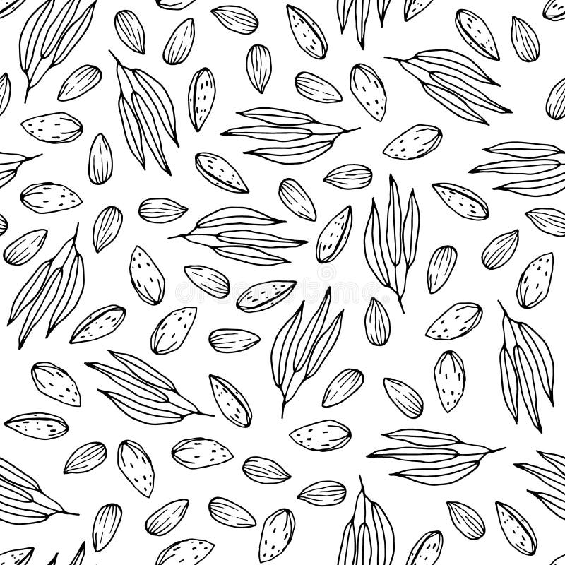 Almond Seamless Pattern. Hand Drawn Vector Nut. Nuts, Kernels, Leaves ...