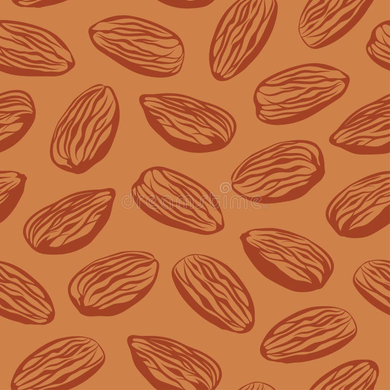Almond seamless pattern stock vector. Illustration of ingredient - 49447579