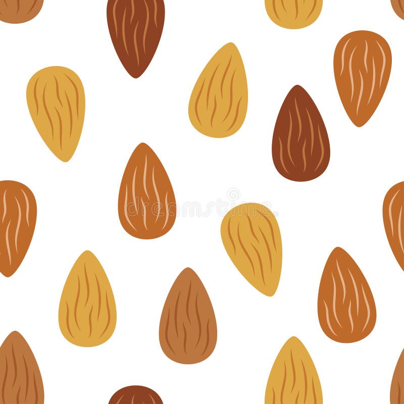 Almond Seamless Pattern, Vector Stock Vector - Illustration of seed ...