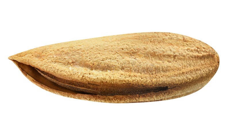 Almond in Shell Closeup Isolated on White Background. Macro Nut Shelled ...