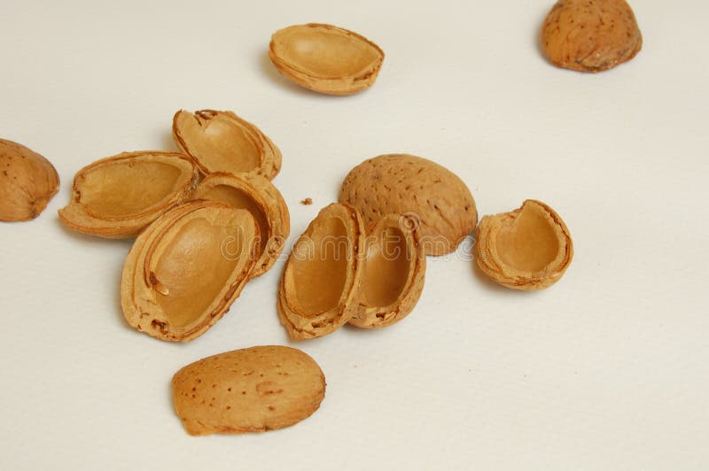 Almond Shells Heaped and Dried in Soft Light Stock Image - Image of ...