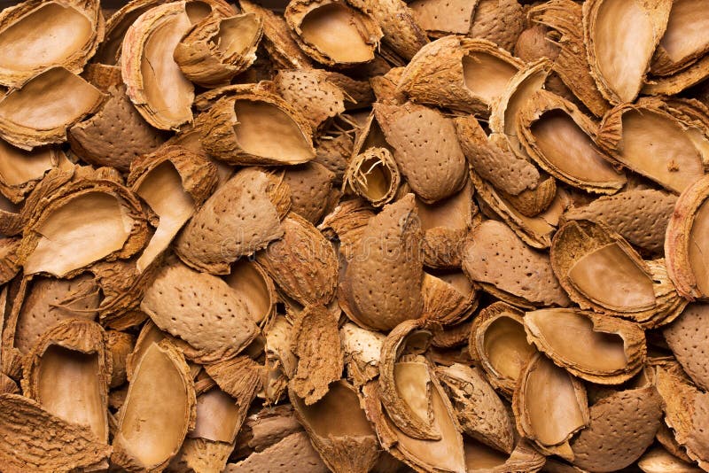 Almond Shells in the Background Stock Image - Image of hull, closeup ...