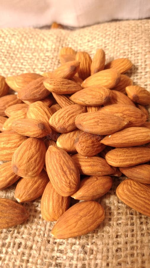 Almond the Superfood stock photo. Image of booster, immune - 219198392