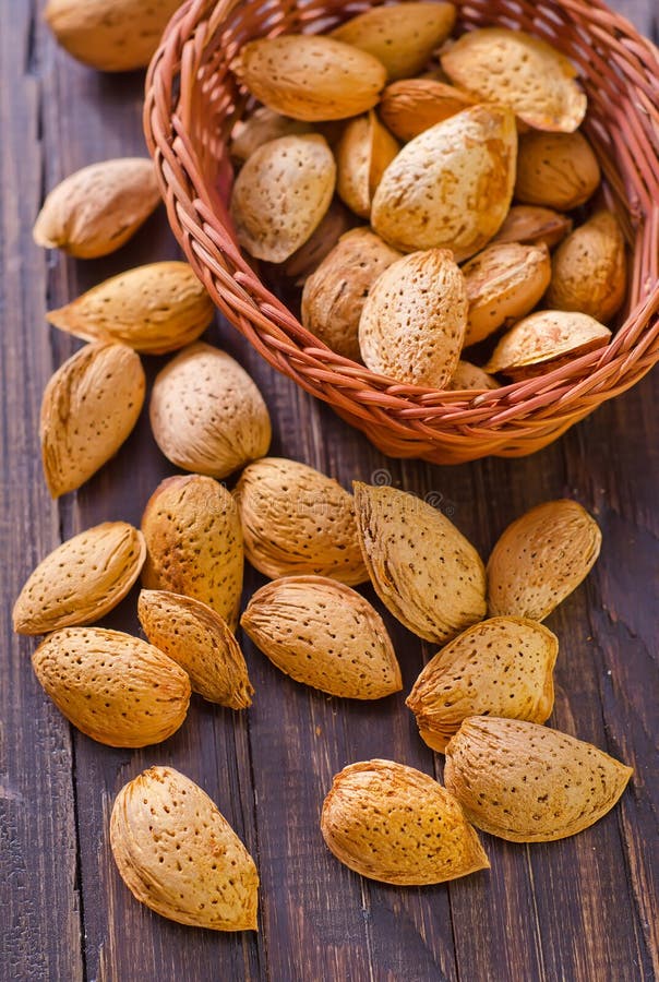 Almond stock image. Image of almond, france, fresh, brown - 34228457