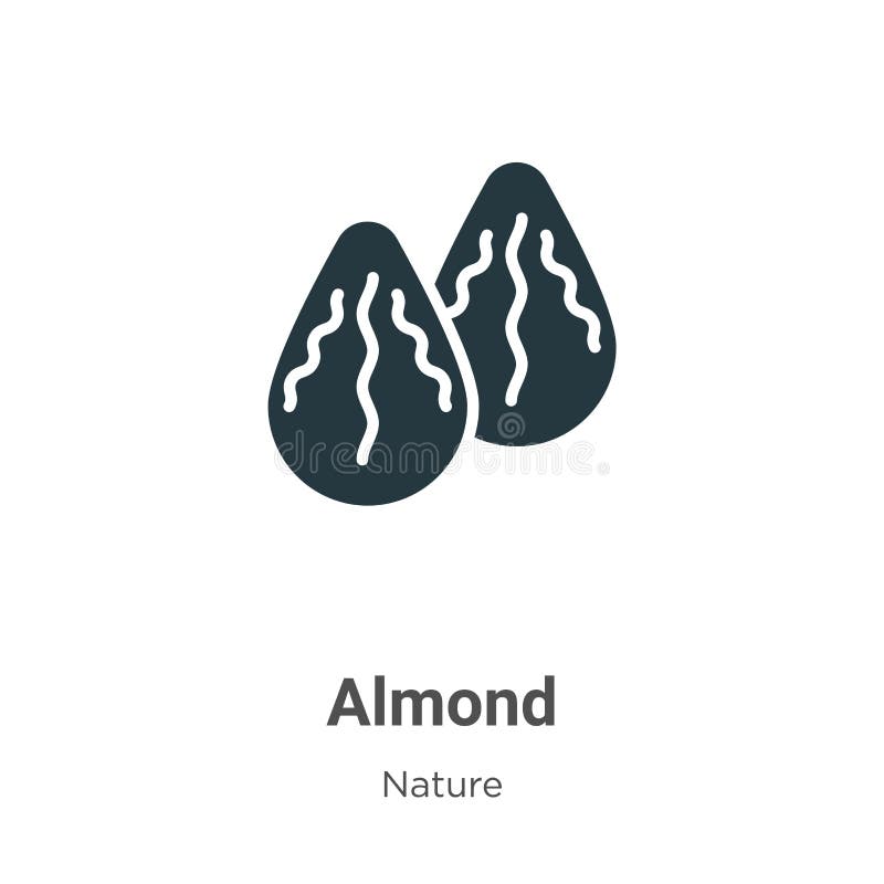 Almond Vector Icon on White Background. Flat Vector Almond Icon Symbol ...