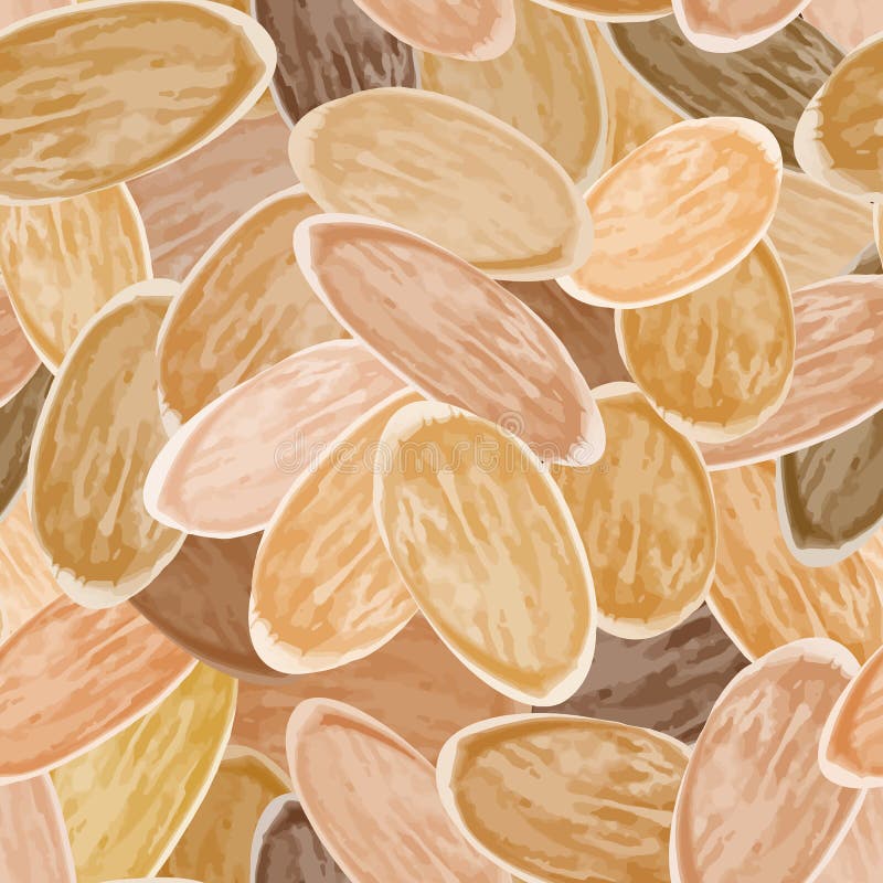 Almond Vector Seamless Pattern Background. Hand Drawn Nuts Dense ...