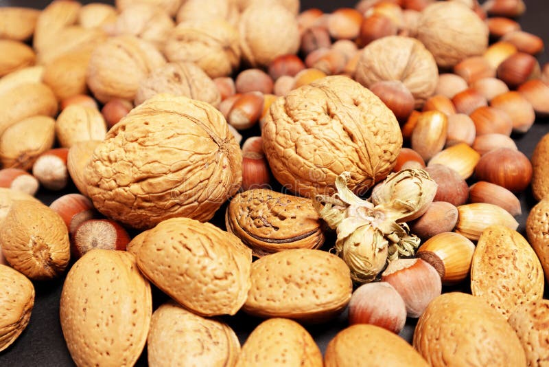 Almond, Walnut and Hazelnut with Shell Isolated on on a Dark Background ...