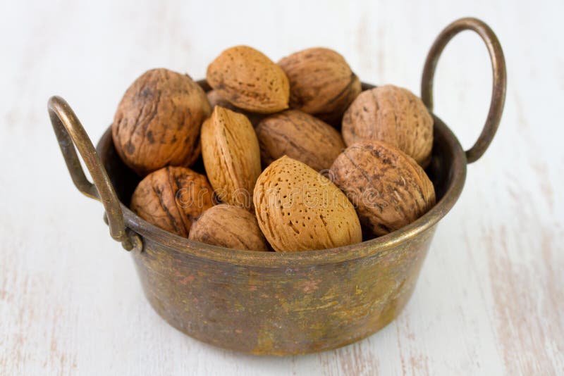Almond with walnut stock image. Image of seed, healthy - 30630005