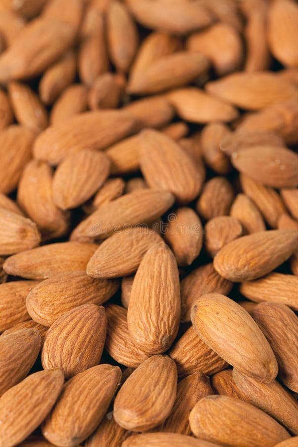 Almonds stock image. Image of close, seed, nature, tasting - 14289749
