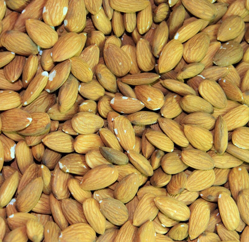 Almonds stock photo. Image of brown, almond, ingredient - 14572362