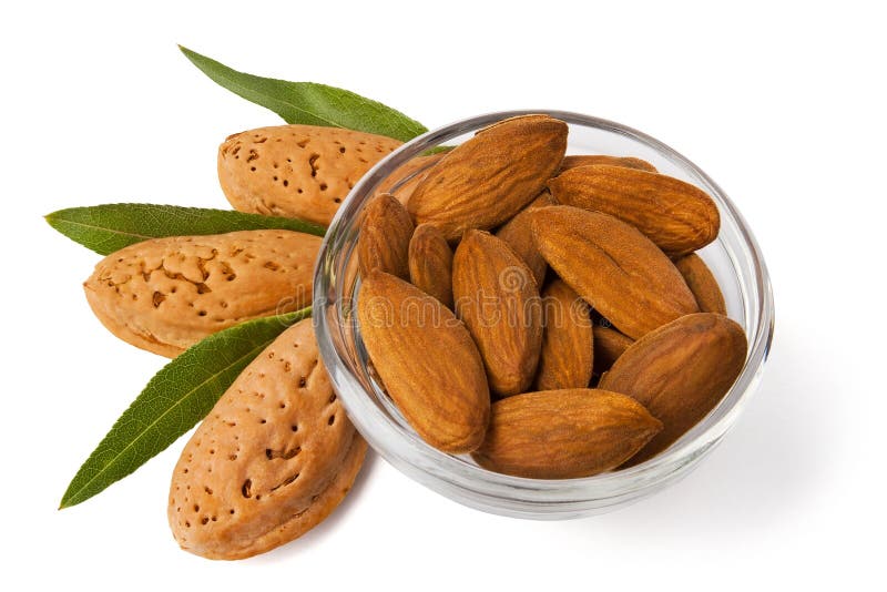 Almonds. stock photo. Image of plant, closeup, ingredient - 101286056