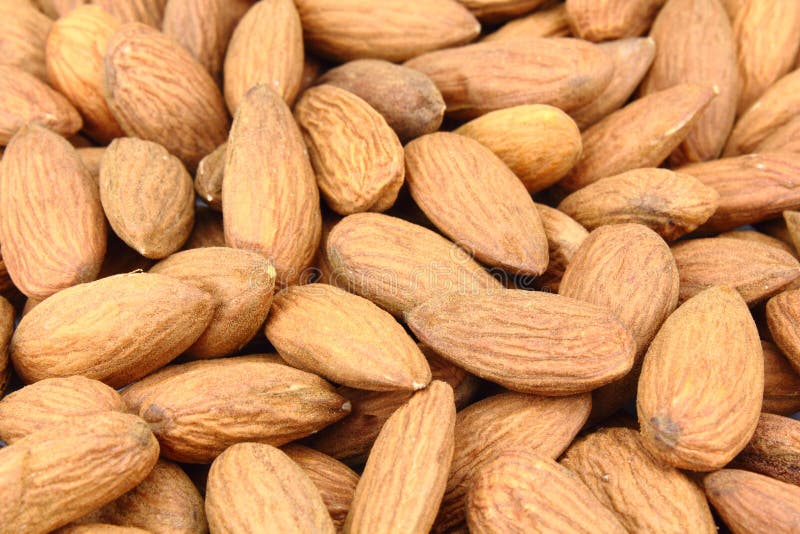 Almonds stock image. Image of brown, fiber, almonds, eating - 22391673