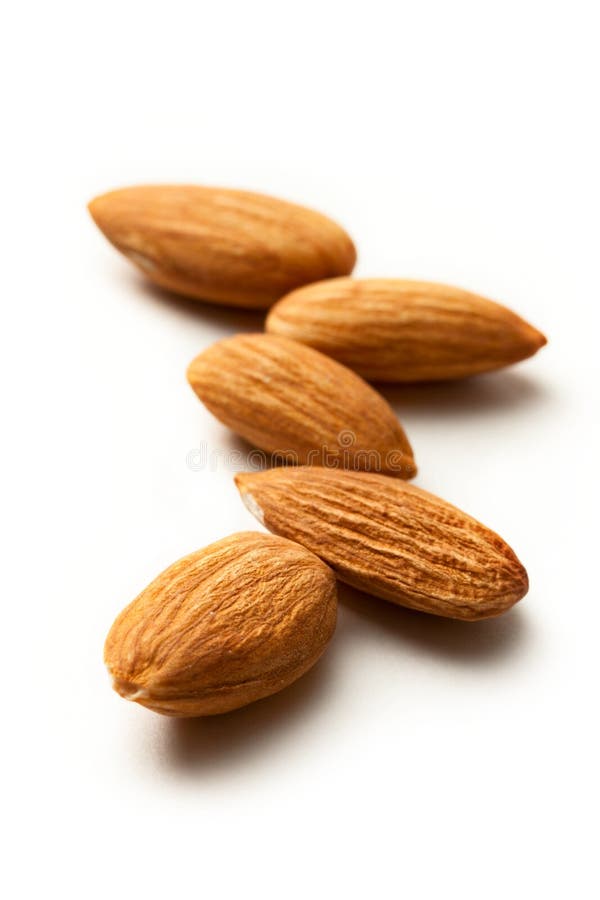 Almonds stock photo. Image of snack, kernel, edible, open - 23634868