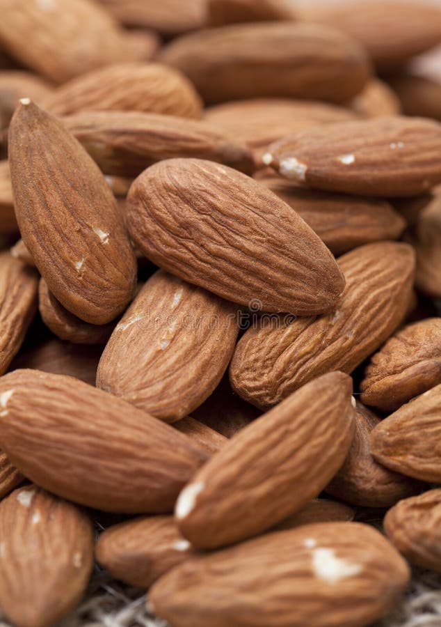Almonds stock photo. Image of culinary, grain, close - 23283580