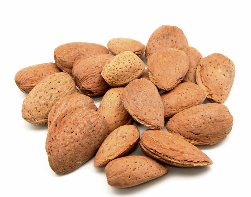Almonds stock photo. Image of flavor, cuisine, grain - 26867364