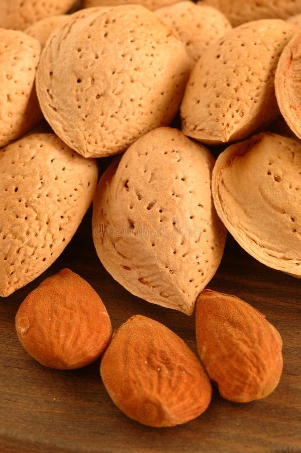 Almonds stock image. Image of healthy, seed, eating, organic - 3236647