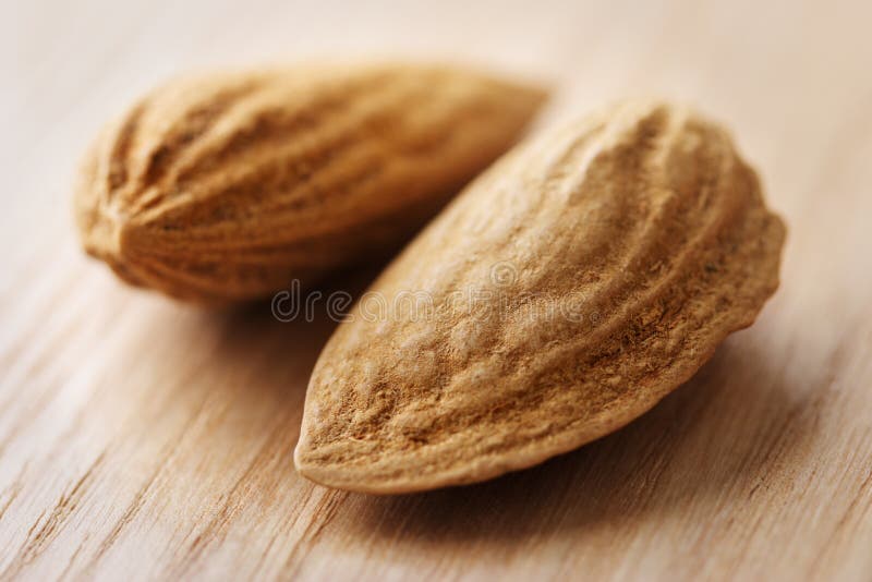 Almonds stock photo. Image of almonds, ingredient, food - 3965326