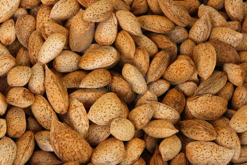 Almonds stock photo. Image of almonds, snack, dried, market - 5742886