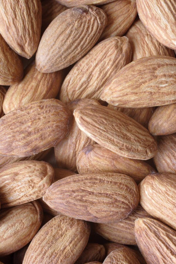 Almonds stock photo. Image of almond, macro, gourmet, almonds - 629276