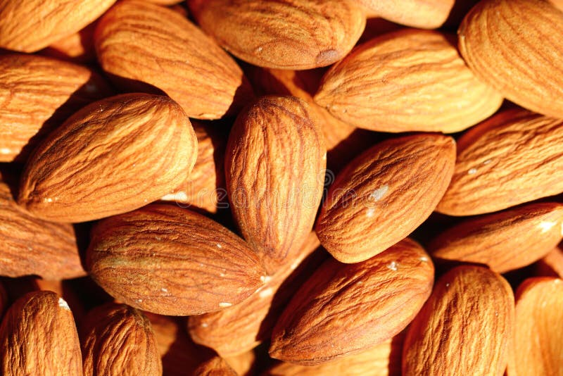 Almonds stock image. Image of nature, macro, natural - 41865667