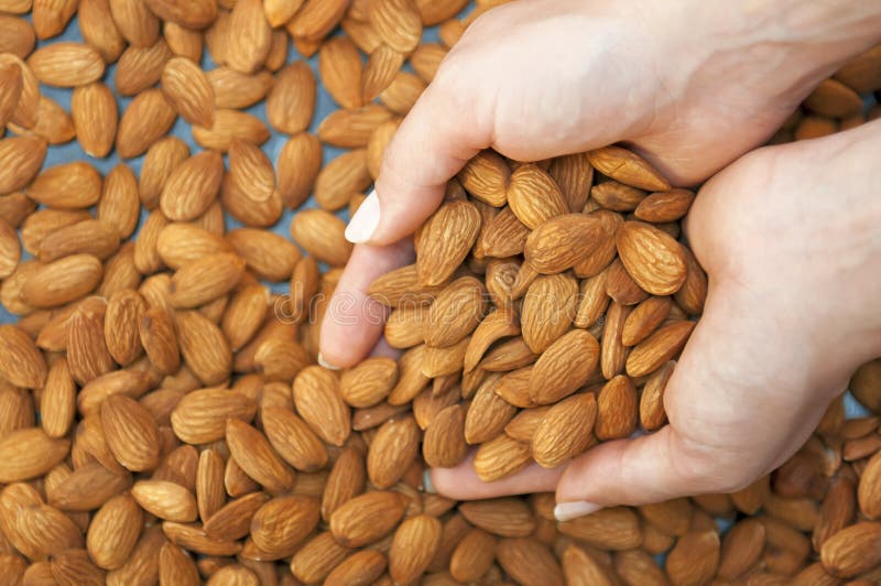 Almonds fall stock image. Image of close, peanuts, food - 28568121