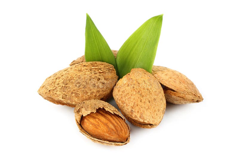 Almonds and grated almonds stock photo. Image of botany - 22283864