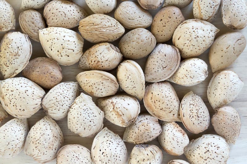 Almonds in Hard Shells, Group of Nuts on Wooden Table Stock Photo ...